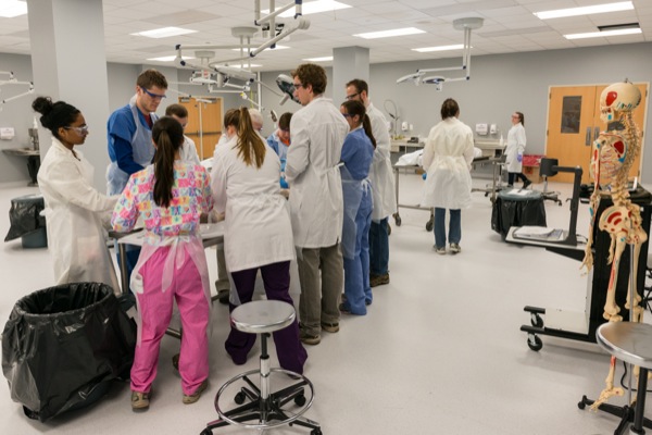 UD Students Learn Unforgettable Lessons In State of the art Anatomy Lab UD Students Learn Unforgettable Lessons In State of the art Anatomy Lab