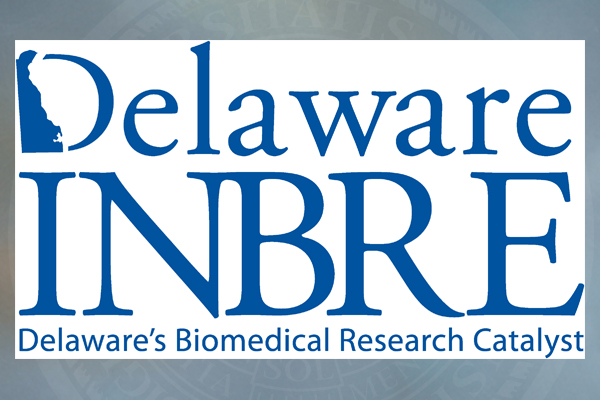 Delaware INBRE seeks proposals for Developmental Research Project program