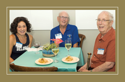 UDMessenger - Hens & Friends