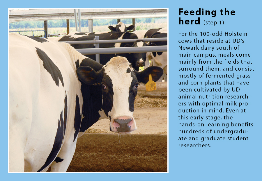 UDMessenger - UDairy Creamery